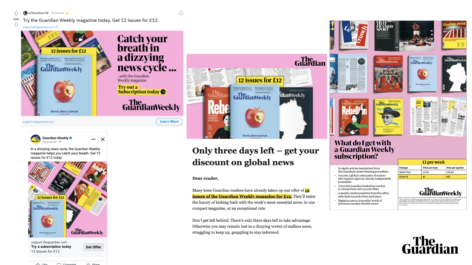 Leveraging new audiences with The Guardian's 12for12 campaign | Audiencers